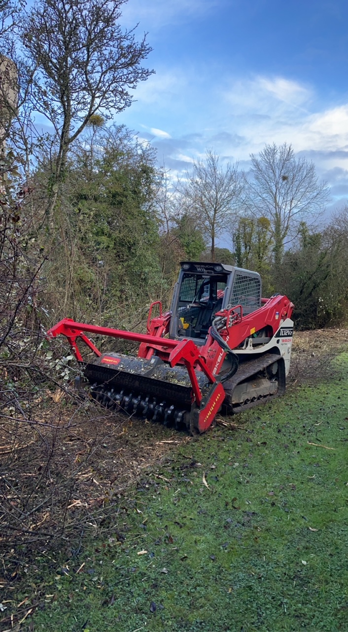 Débroussaillage Forestier, défrichage d'herbes, ronces, épineux arbres ...